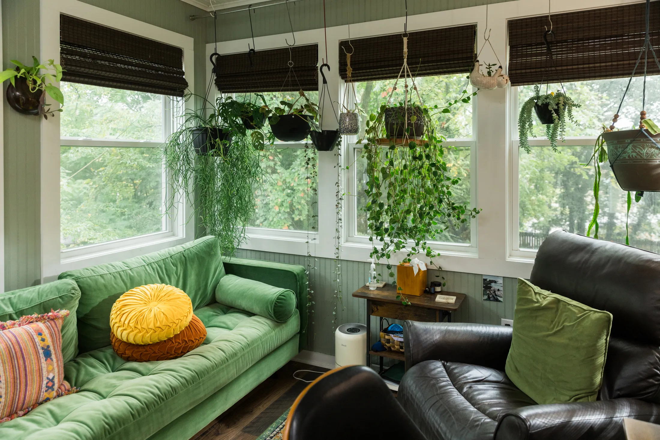 Meet Us - Widening Circles